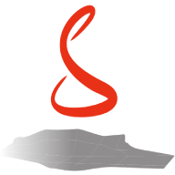 Doing Smart Odoo ERP and Digitalization Company